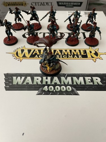 Warhammer 40K Drukhari Dark Eldar Lelith Hesperax And Wyches | eBay