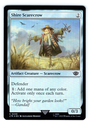 Magic Shire Scarecrow Foil 0249 LTR Lord of the Rings | eBay