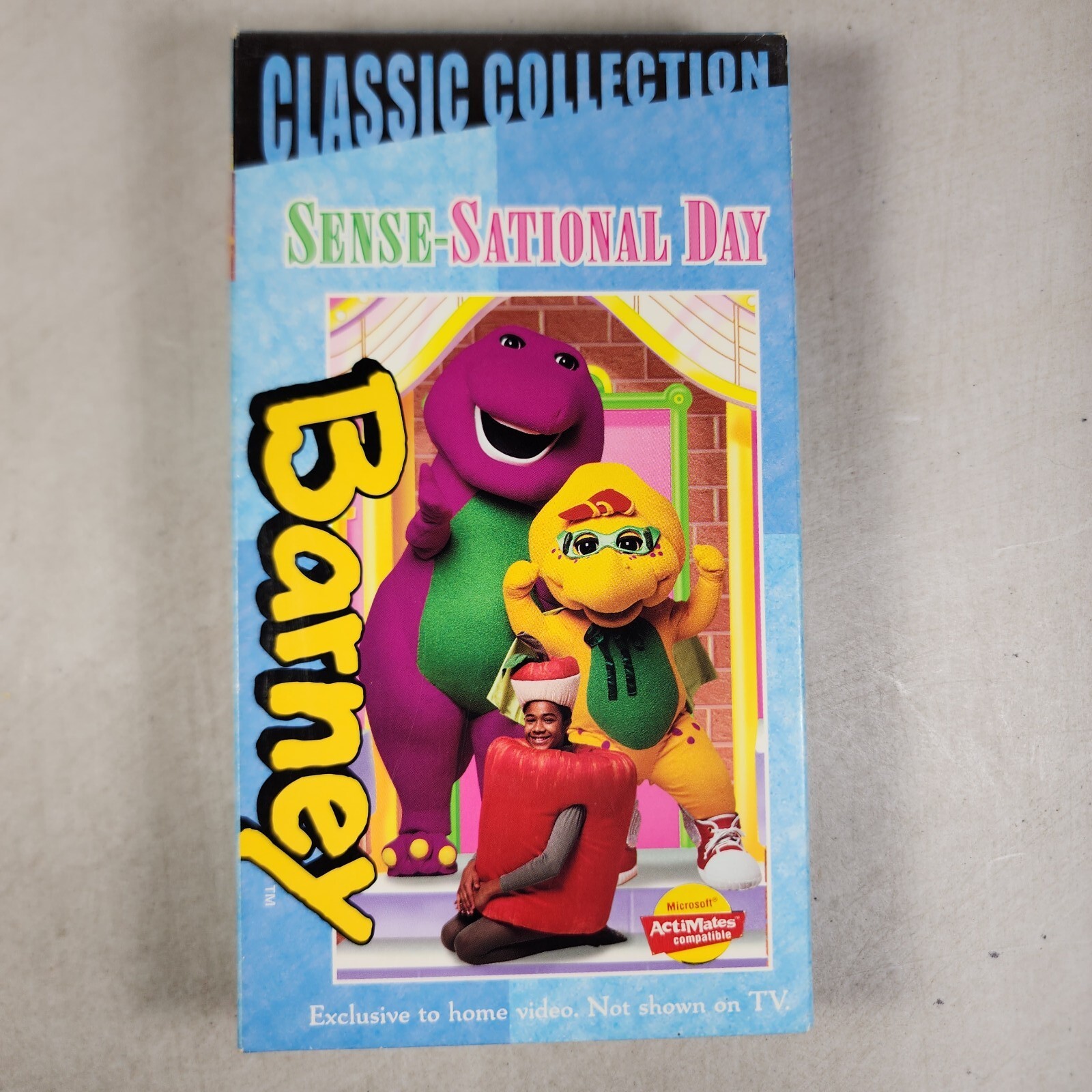 Barney And Friends Sense Sational Day | Grelly USA
