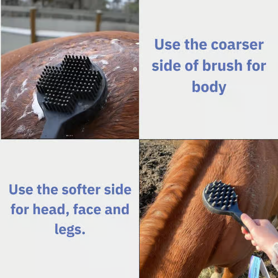 Curry on a Stik Therapeutic Curry Comb for Horses, Dogs, and Cats | eBay