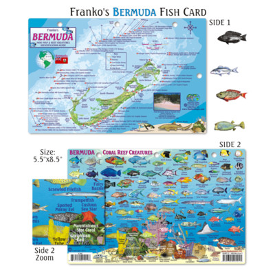 Franko Maps Bermuda Coral Reef Dive Creature Guide 5.5 X 8.5 Inch | eBay