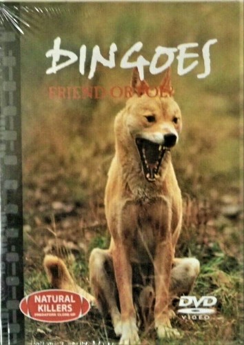 Natural Killers - Predators Close-Up DINGOES Friend Or Foe? DVD + BOOK ...