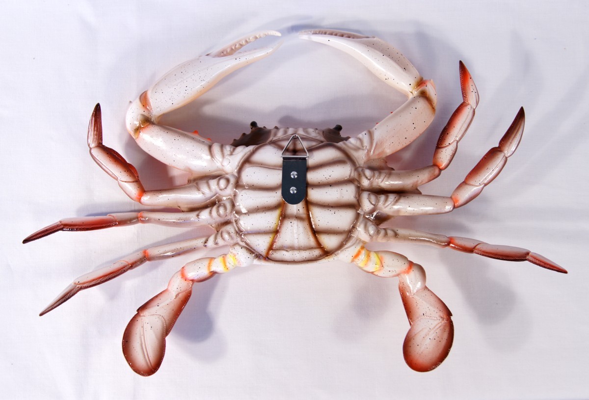 6 inch Red Maryland Blue Crab Beach Tiki Bar Wall Mount Decor Sculpture ...