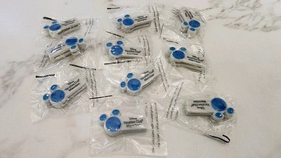 Disney Vacation Club DVC Magic Band Slider | eBay