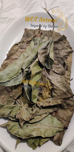 50g Dried Ewe Akoko (Yoruba) Fertility Leaves Aduruku Ogirisi (Igbo) | eBay