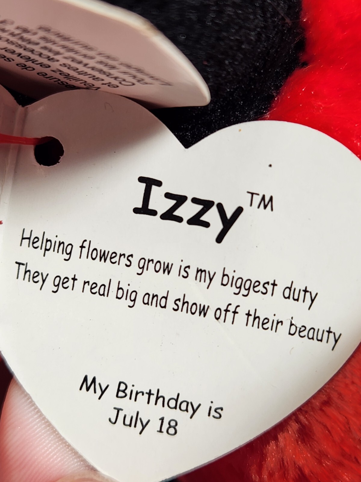 TY Beanie Boo "Izzy" Ladybug Red Black 6" Stuffed Animal Plush Toy EUC ...