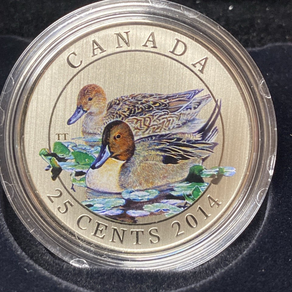 2014 Canada 25 Cents Coloured Coin - Birds Of Canada - Pintail RCM | eBay