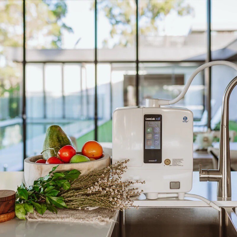 Kangen Enagic Leveluk K8 Water Filter Machine for sale online | eBay