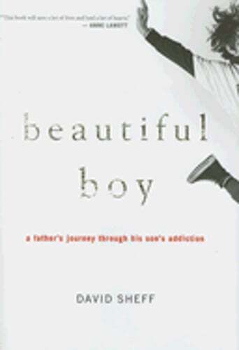 Beautiful Boy: A Father's Journey Through His Son's Addiction by David ...