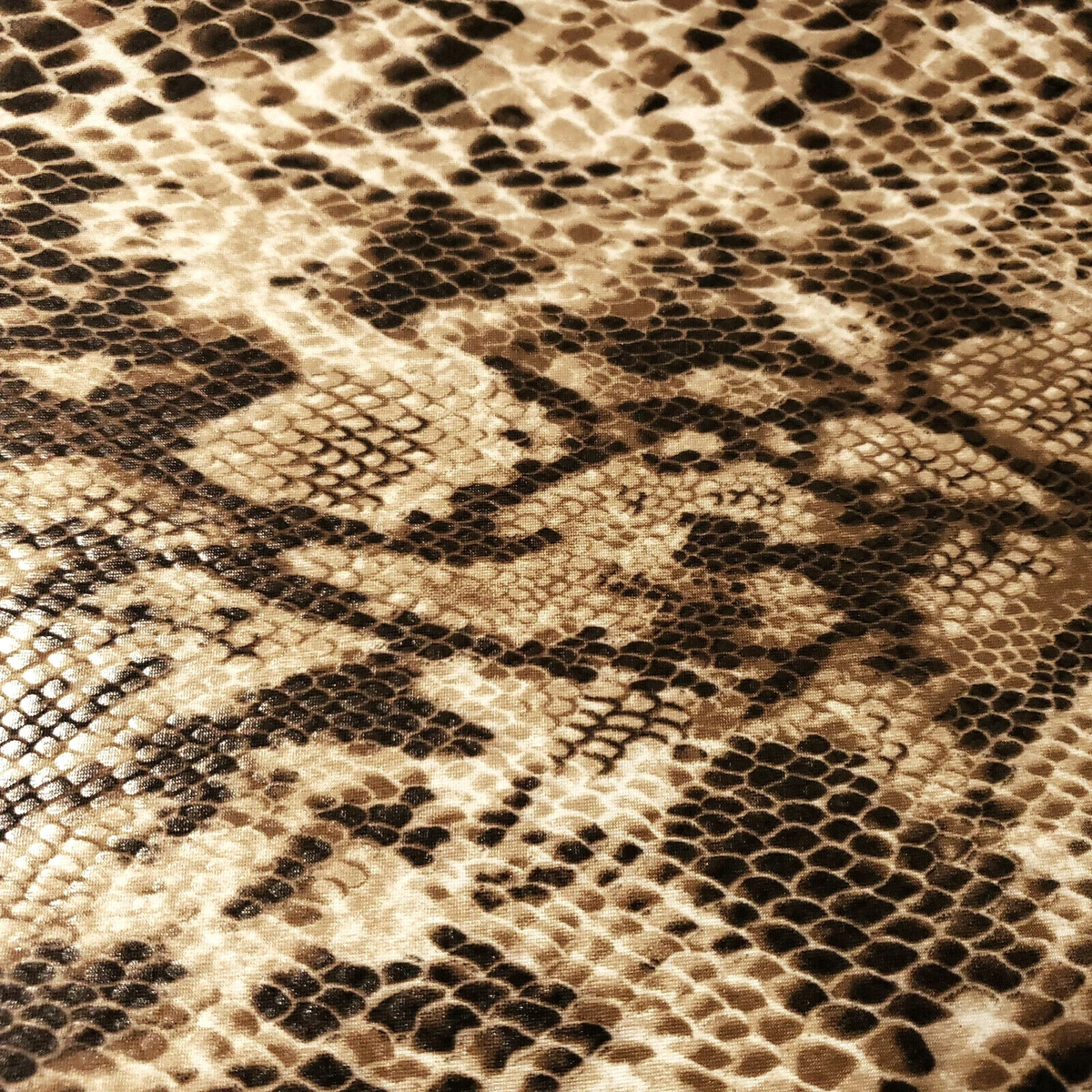 Snake Animal Print