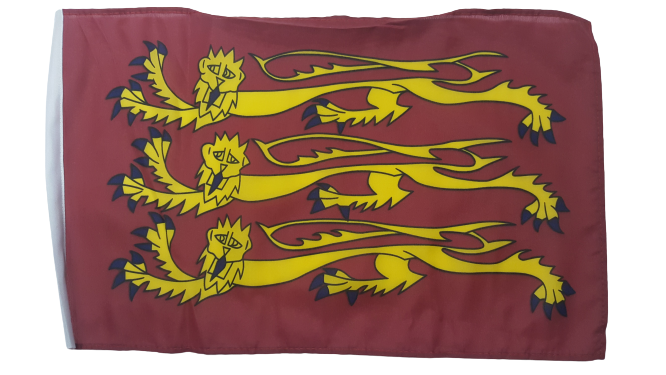 Courtesy Flag 1.5ft x 1ft Sleeved Polyester 180+ designs FREE P&P | eBay UK