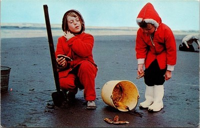 Good Clams Kids Digging For Razor Clams Pacific Coast Oregon OR UNP ...