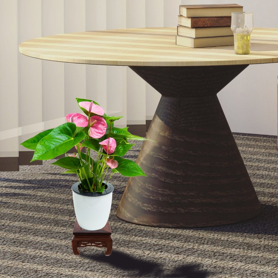 Wooden Plant Pot Holder Display Stand Potted Plant Riser For Home Decor ...