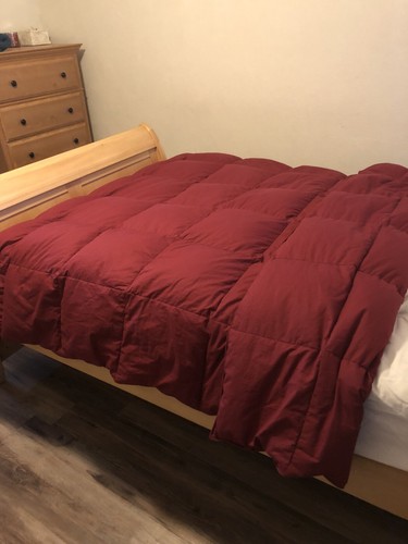 The Company Store Twin Down Comforter Feather Cotton Burgundy Bedding ...