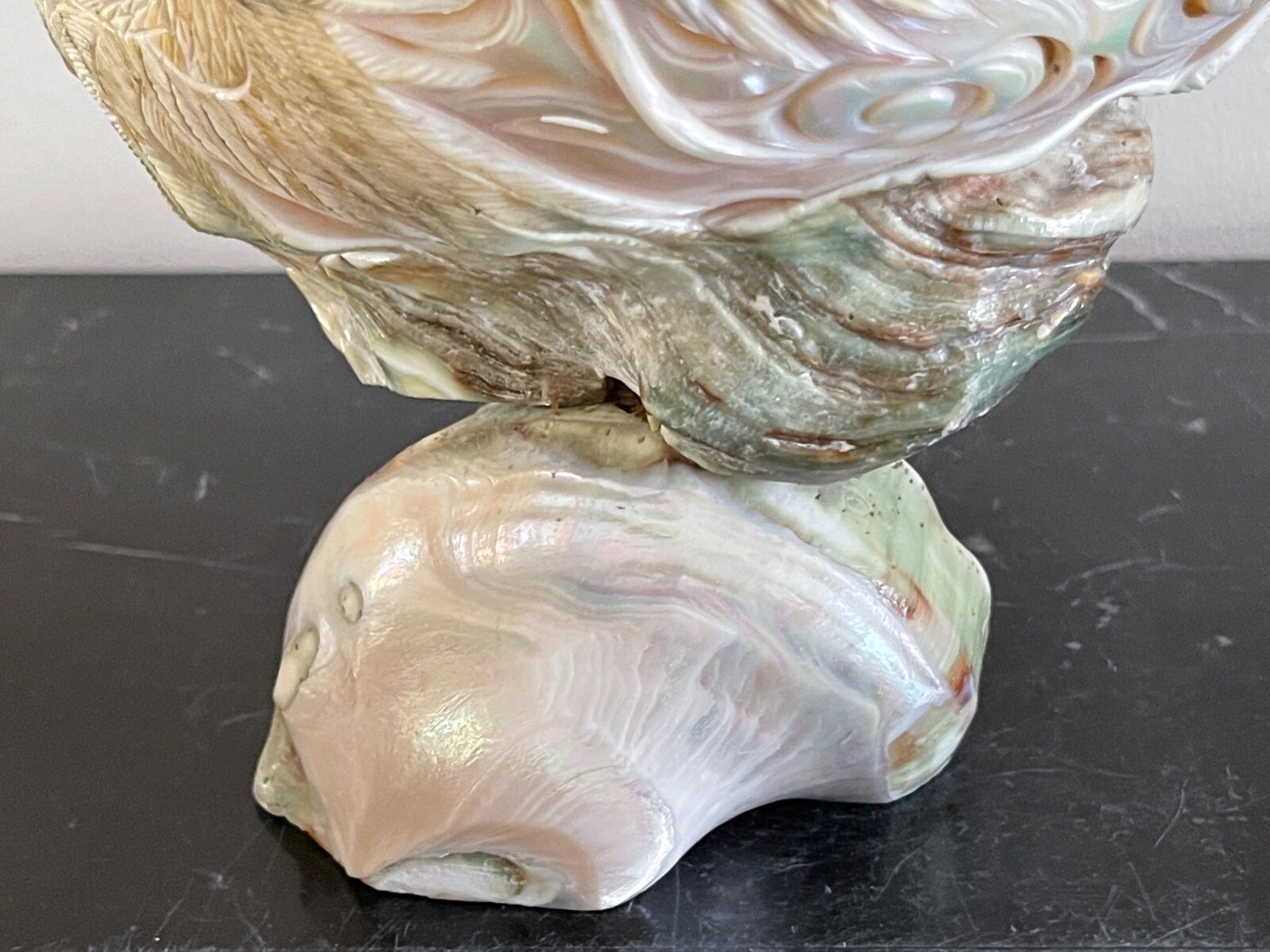 Antique Turbo Marmoratus Green Turban Carved Dragon Phoenix Sea Shell ...