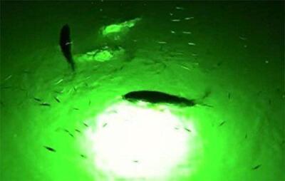 Hydro Glow HG1000G 84W - 12V - 7A - LED Fishing Light - Green - 42 ...