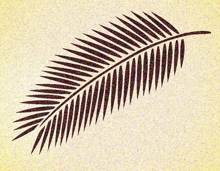 Palm Tree Leaf Stencil