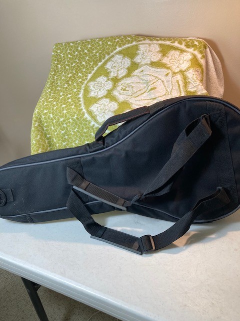 mandolin case | eBay