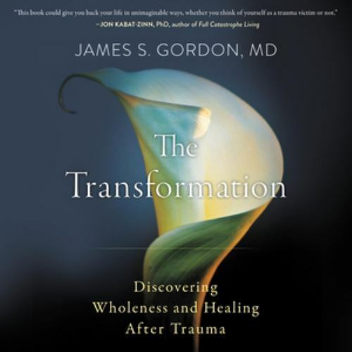 The Transformation : Discovering Wholeness and Healing after Trauma by ...