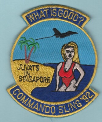 Vintage USAF US Air Force 80th Fighter Squadron Commando Sling '92 ...