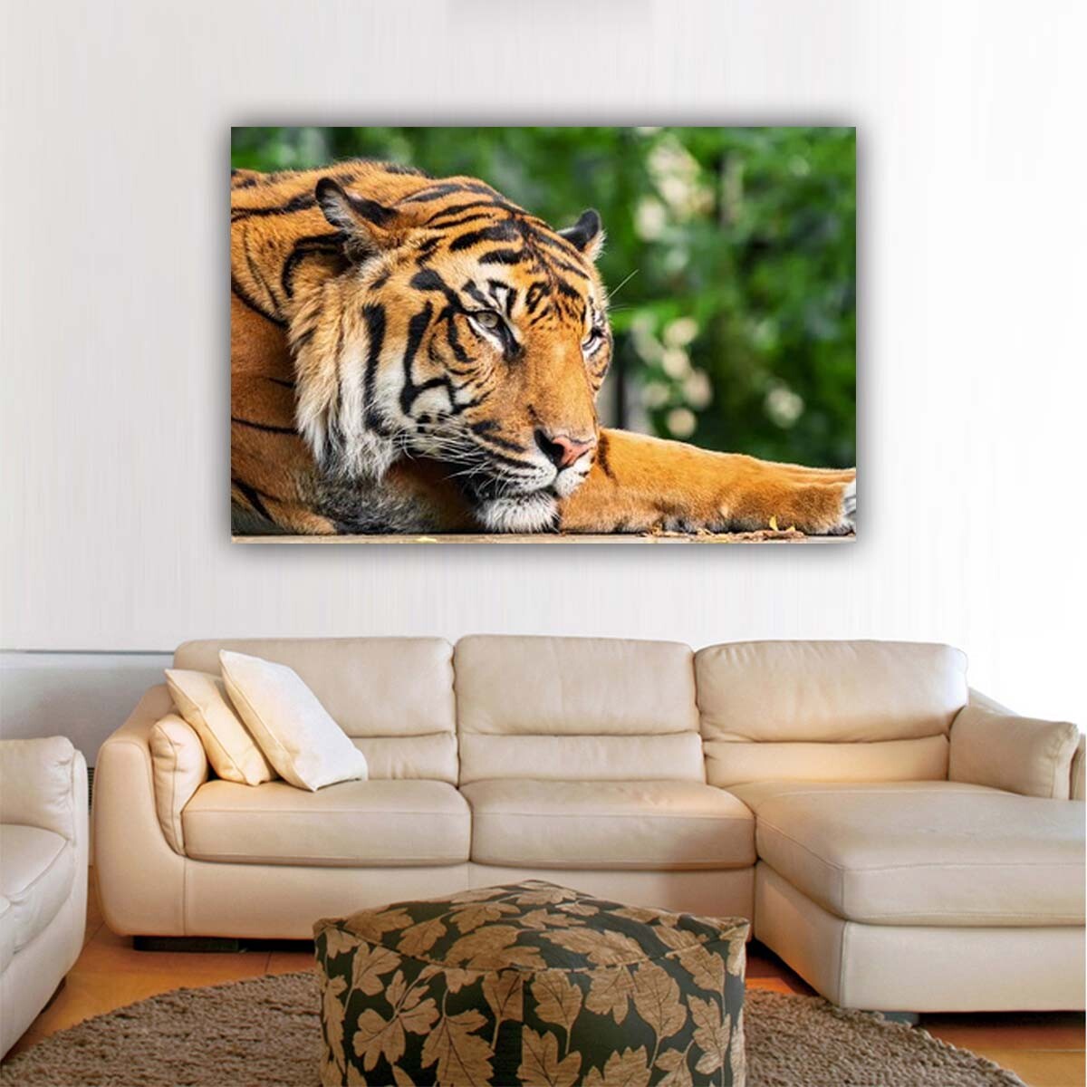 Tiger Room Decor