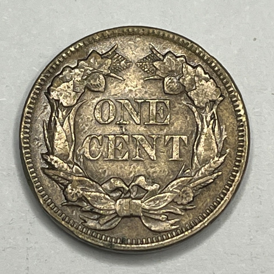 1857 (AU) Flying Eagle Cent Coin | eBay
