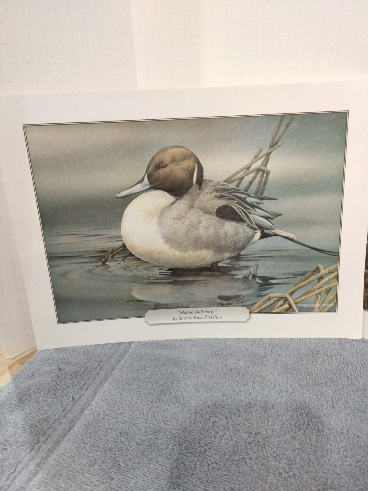 Lot of two prints Sherrie Russell Meline and Bruce Miller. Ducks ...
