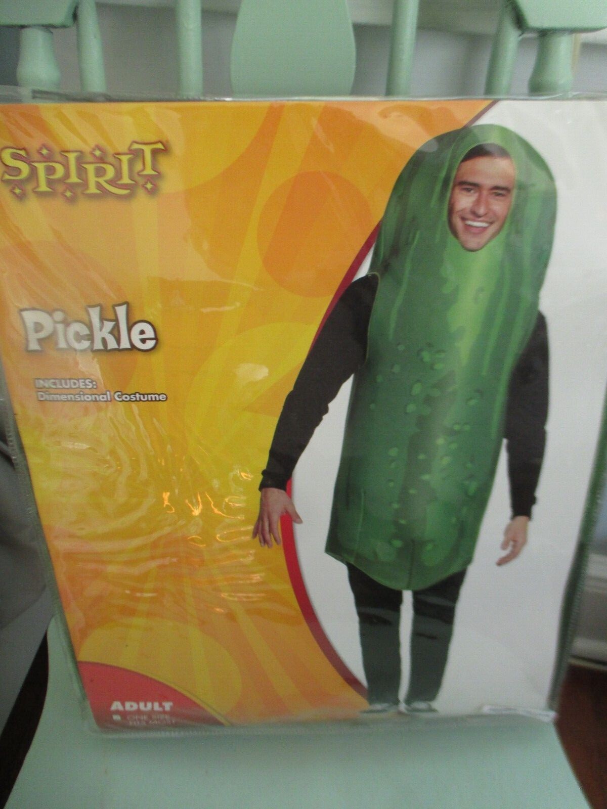 Pickle Costume