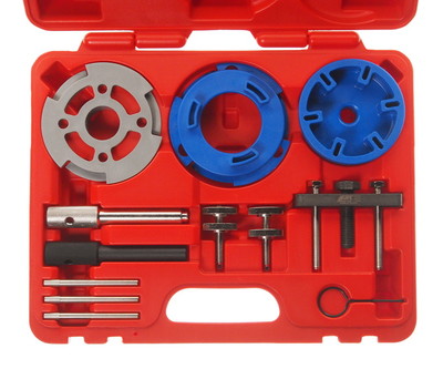 Ford Duratorq Diesel Engine Timing & Injection Pump Installer/Remover ...