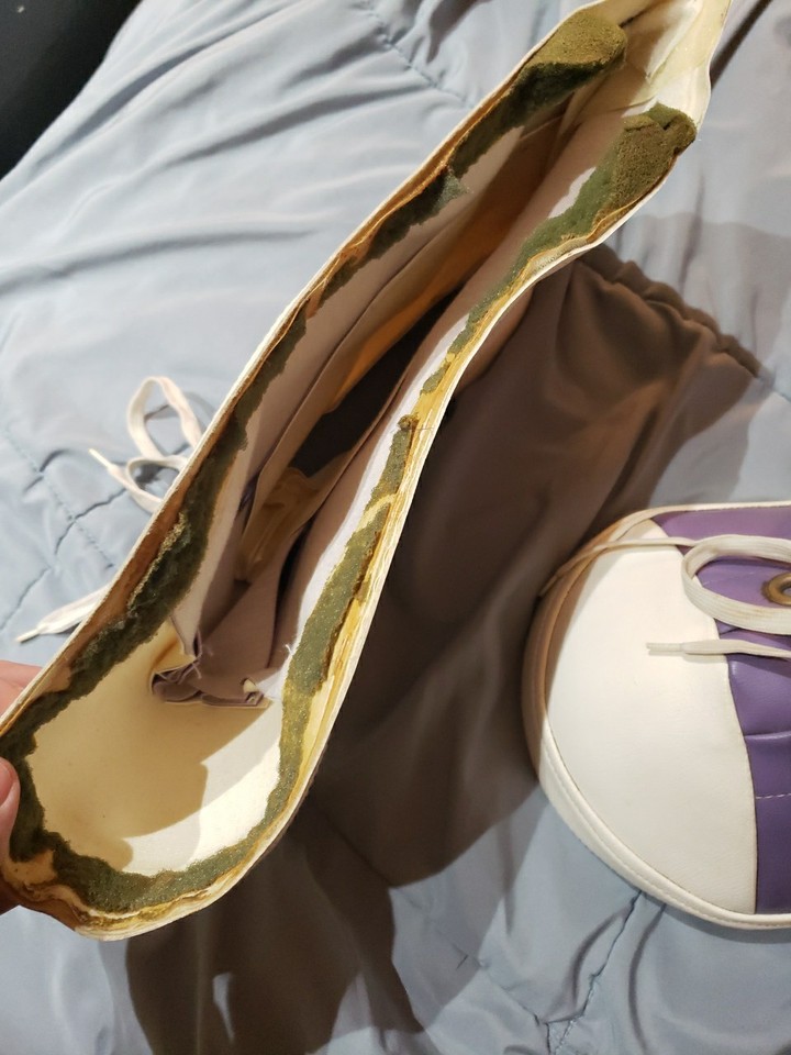 Chuck E Cheese Helen Henny Cyberamic Animatronic Shoes DAMAGED | eBay