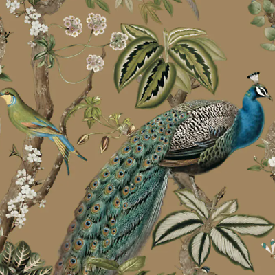 Wallpapers Animals Birds Evolution Meets Photoshop In These 19