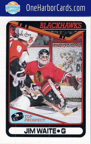 1990 O-Pee-Chee Chicago Blackhawks Hockey Card #214 Jimmy Waite | eBay