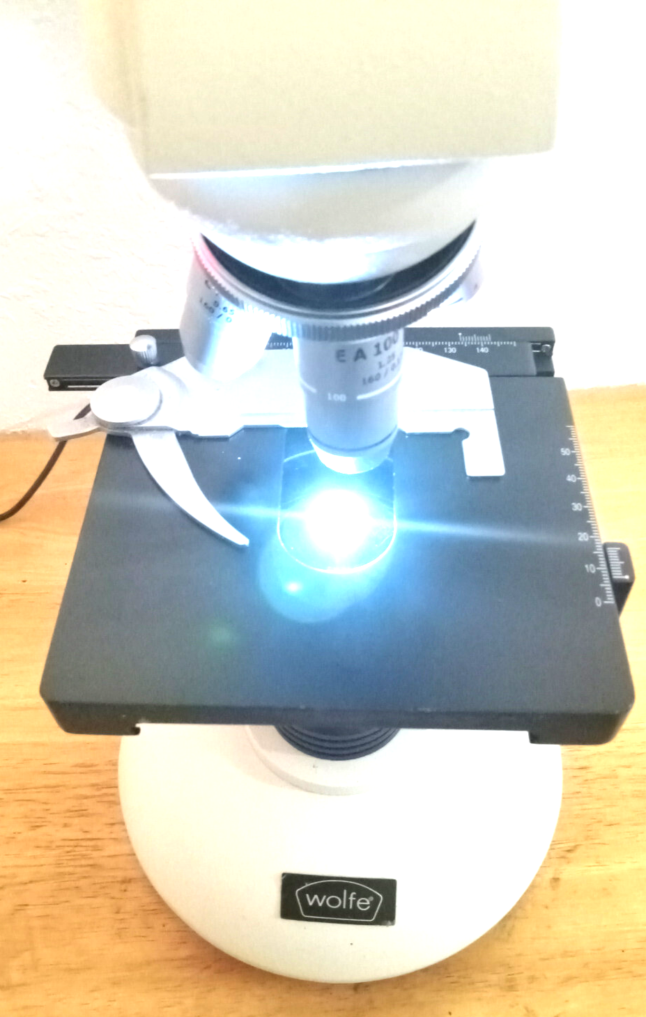 Wolfe LED Binocular Microscope (Carolina Contour) | eBay