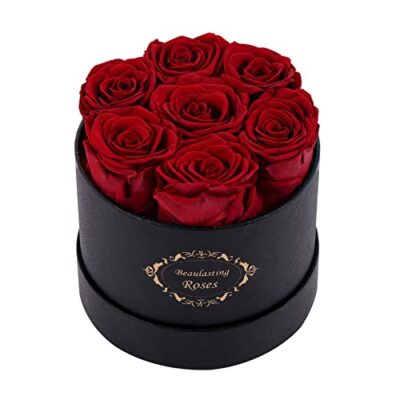 Preserved Roses Box Eternity Roses Long Lasting Roses Gifts for 7 Roses ...
