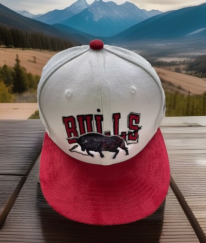🔥 Chicago Bulls • BMO Artist Hat Series • Melonwear SnapBack • Rare ...