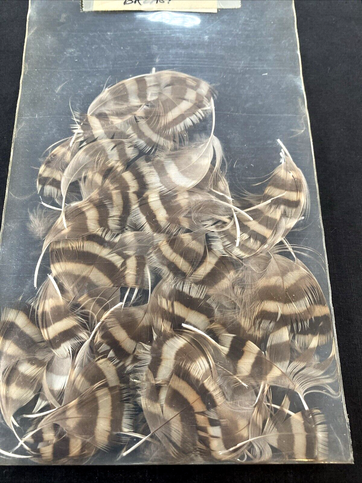 Bag Prairie Chicken Breast Flank Feathers Shoulder Fly Fishing Tying ...