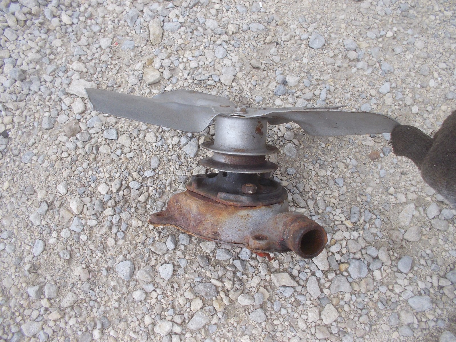 Ferguson TO30 30 tractor engine motor water pump assembly w/ fan - belt ...