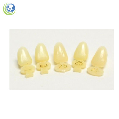 DENTAL POLYCARBONATE TEMPORARY CROWNS #25 (ULL) UPPER LEFT LATERAL 5 ...