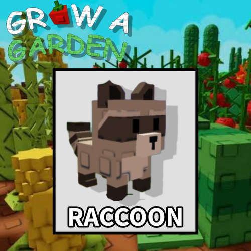 RACCOON | GROW A GARDEN | eBay
