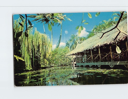 Postcard The Willows Restaurant Honolulu Hawaii | eBay