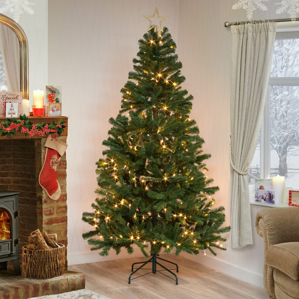Christmas Tree Xmas Colorado Spruce 4ft 5ft 6ft 7ft 8ft or 10ft Free ...