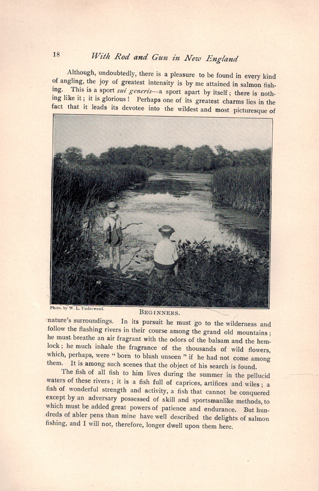 1897 With Rod and Gun in New England and the Maritime Provinces by ...