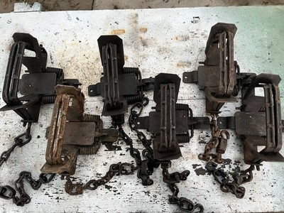 6 Montgomery No. 3 Offset Laminated Dog-less Coil Traps Raccoon Coyote ...