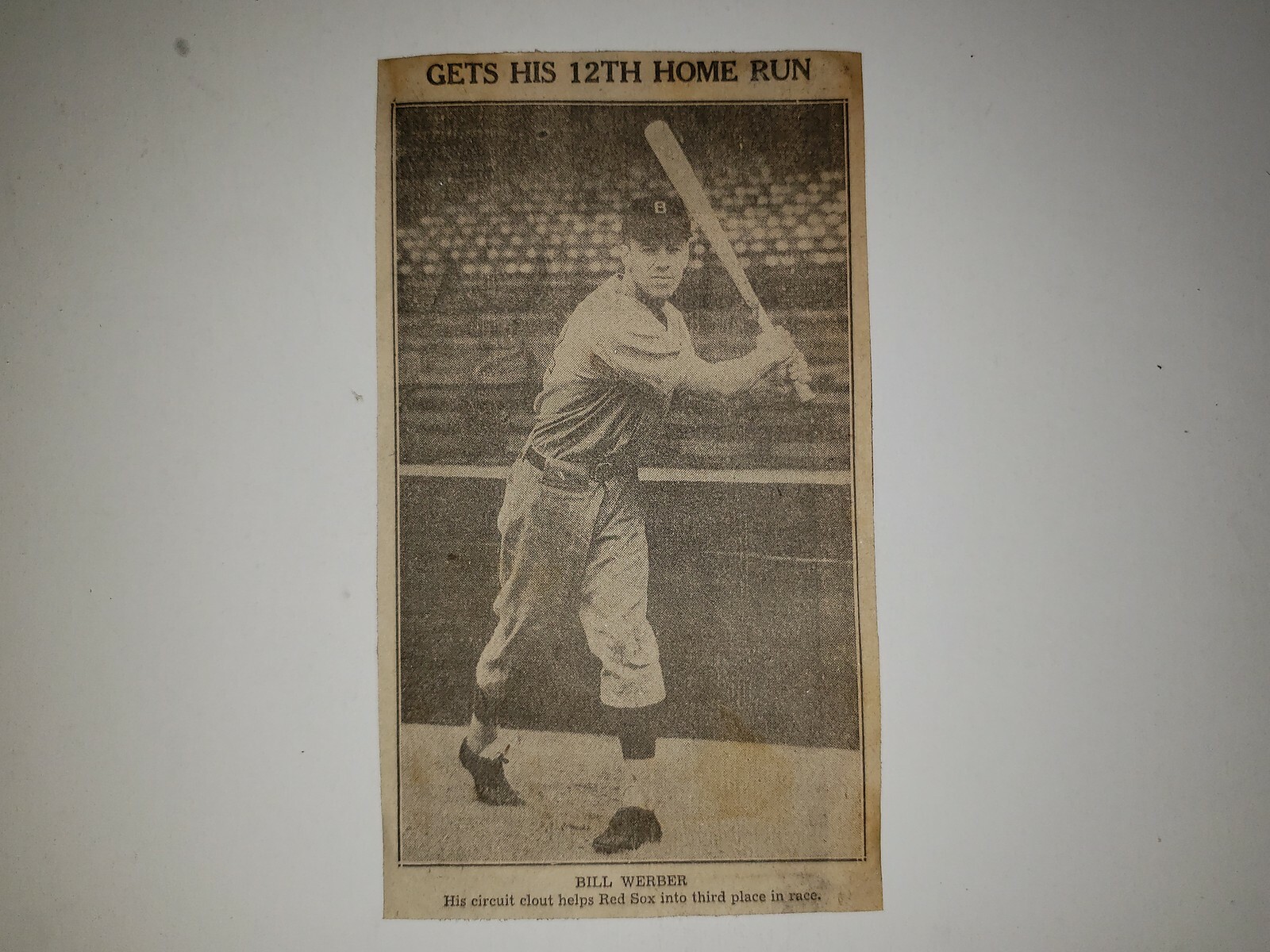 Bill Werber Red Sox 1934 Portrait Panel RARE! | eBay