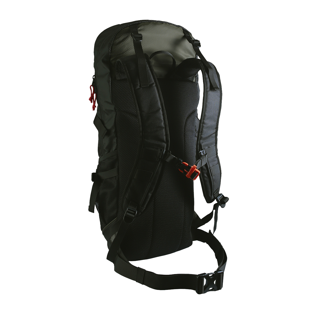 XP Deus / ORX Detektor Backpack 240 Rucksack (XPBACKPACK240 ...