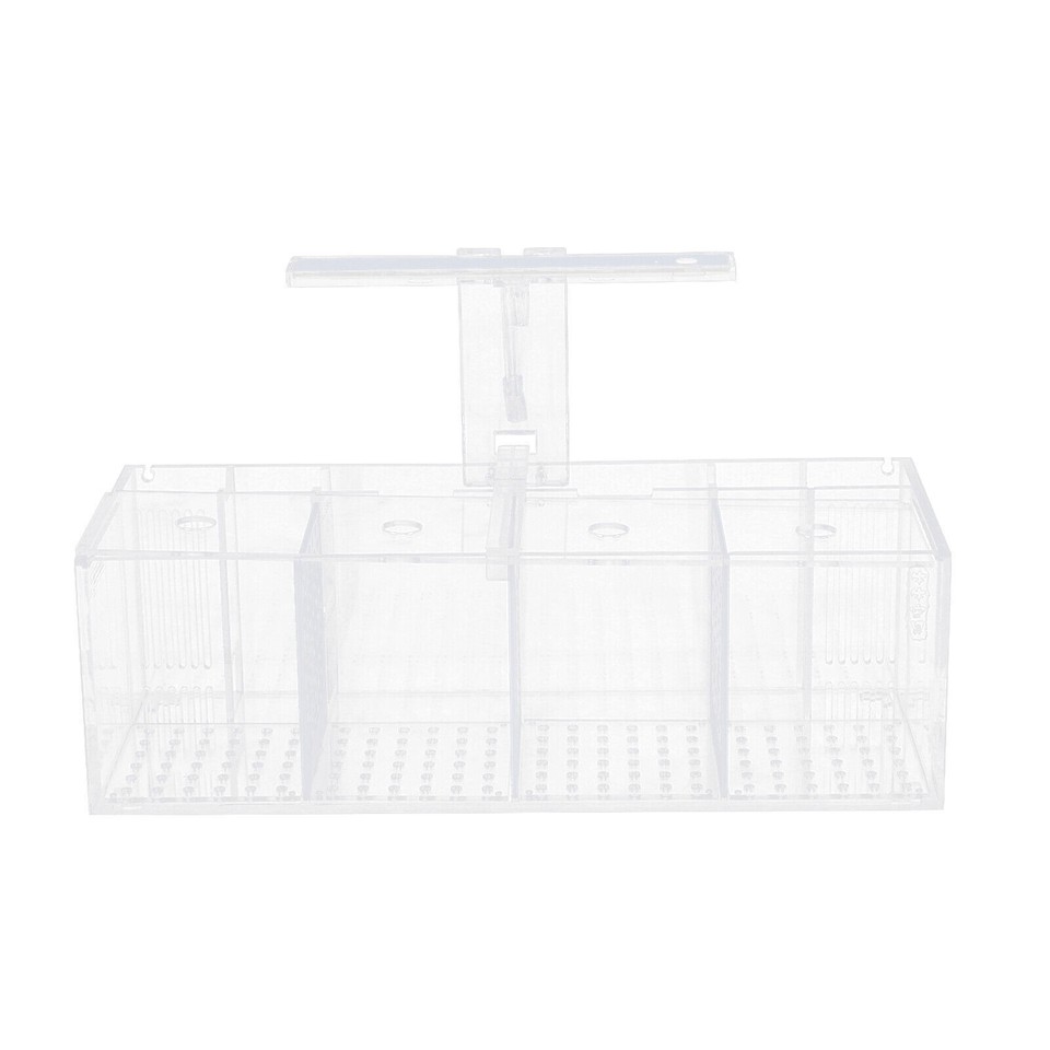 Aquaponic Fish Tank 4-Grid Desktop Fish Tank Rectangle Acrylic Betta ...