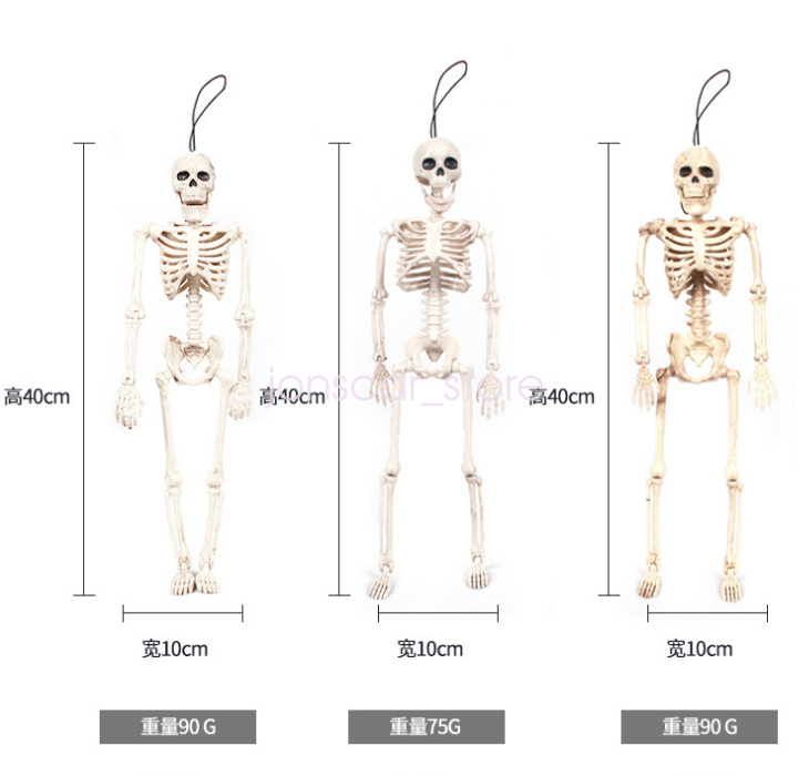 Human Skeleton Bones Real 40cm Size Hanging Halloween Props Decoration ...