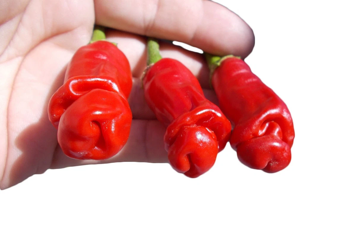Chilly Willy Peppers