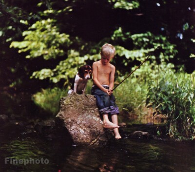 1960 Classic Boy Fishing With Dog Beagle Nature Vintage Photo Art Hazel ...
