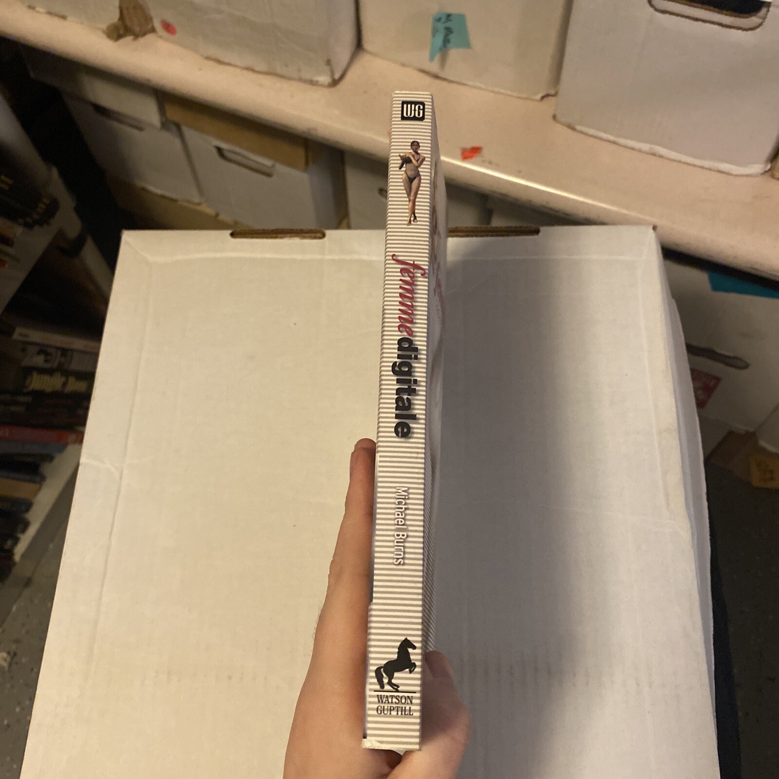 Femme Digital : Perfecting the Female Form on Your Computer by Michael ...